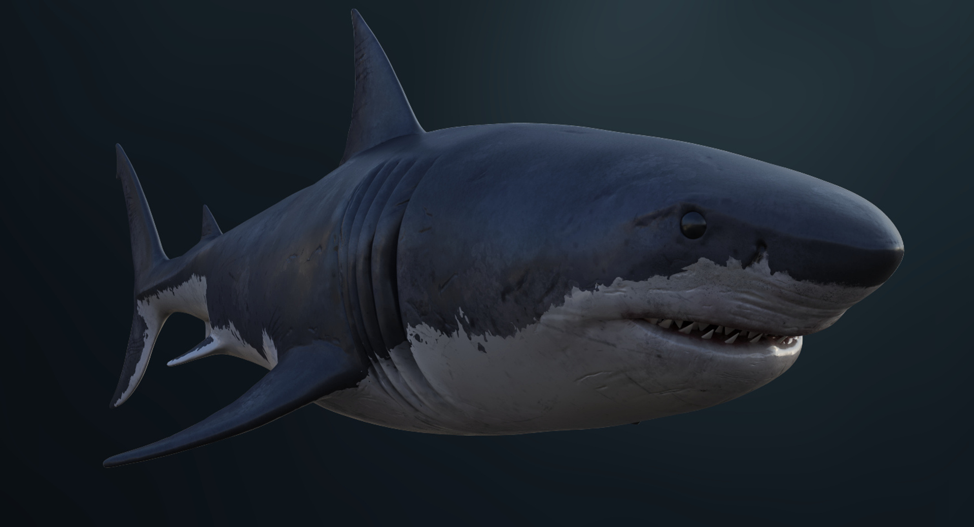 3D realistic great white shark model - TurboSquid 1215328