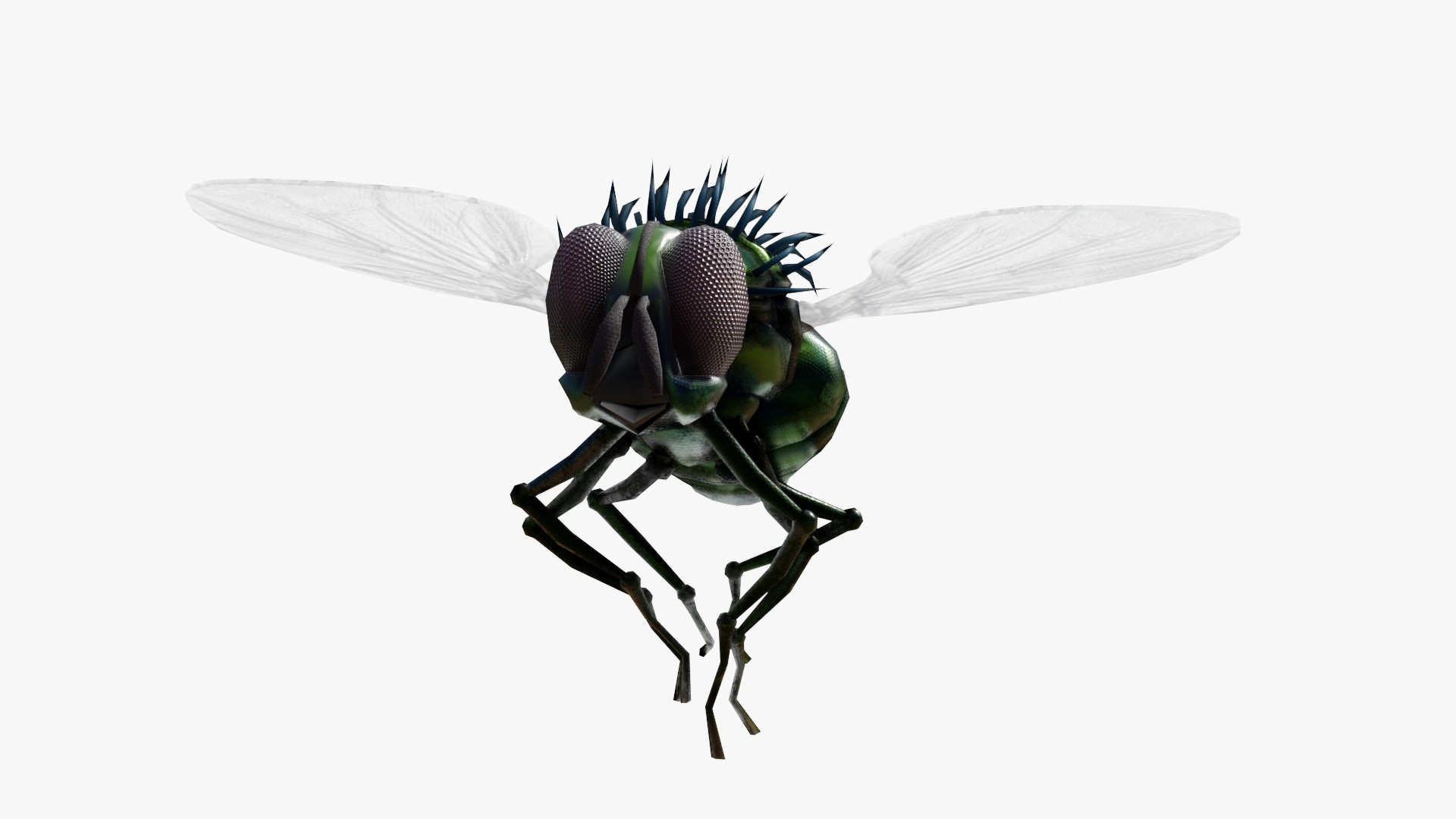 3D Green Fly Loop Animation - TurboSquid 1630852