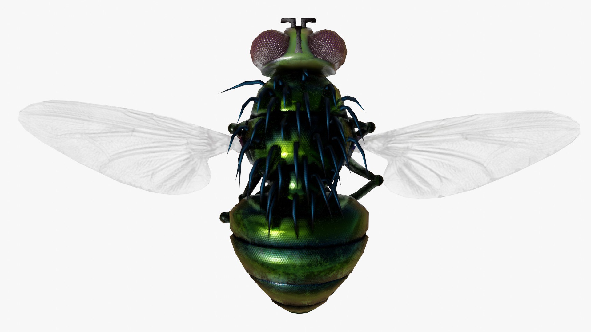 3D Green Fly Loop Animation - TurboSquid 1630852