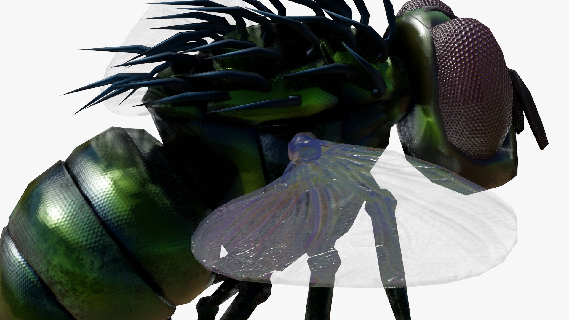 3D Green Fly Loop Animation - TurboSquid 1630852