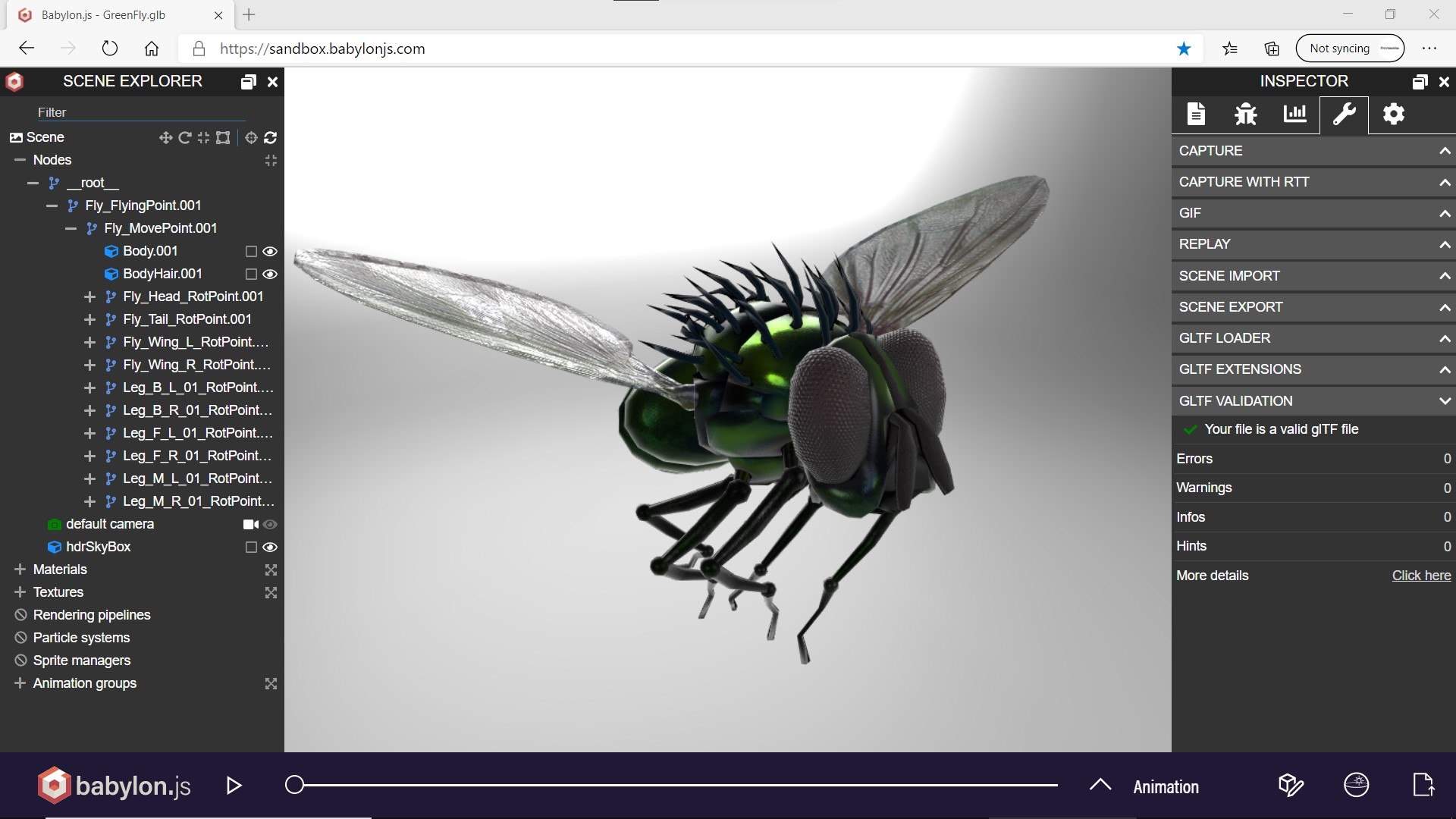 3D Green Fly Loop Animation - TurboSquid 1630852