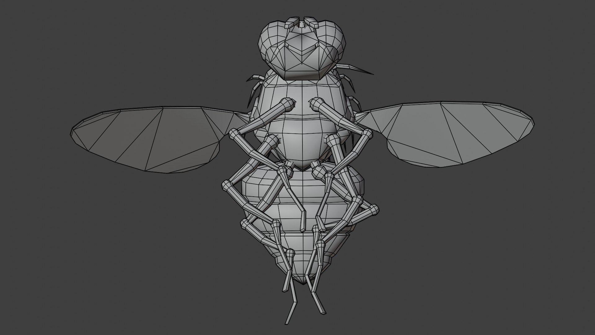 3D Green Fly Loop Animation - TurboSquid 1630852