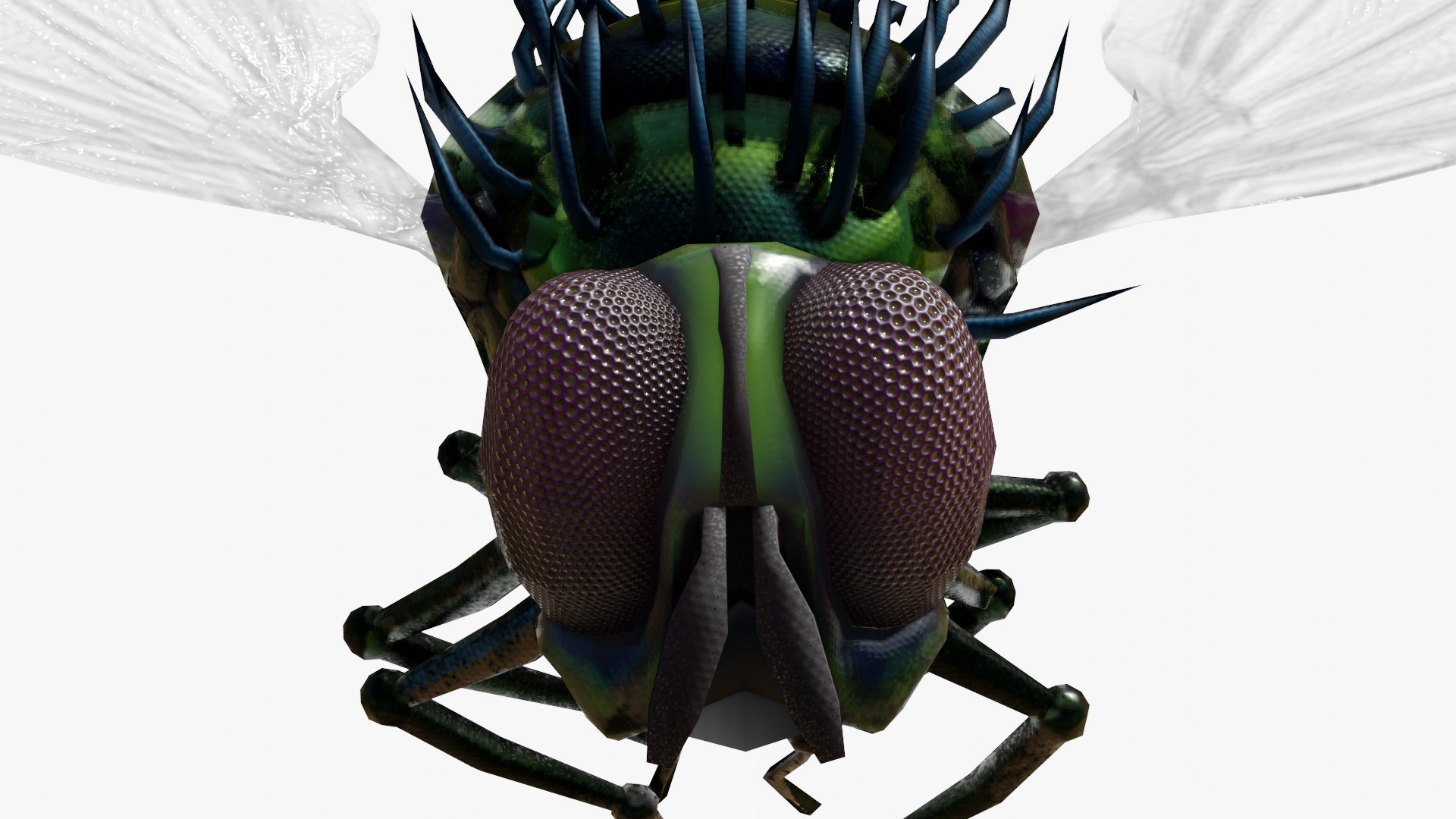 3D Green Fly Loop Animation - TurboSquid 1630852