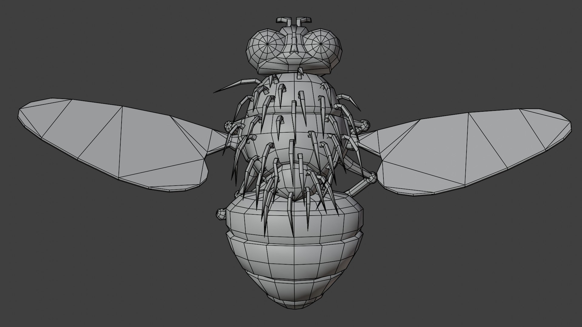 3D Green Fly Loop Animation - TurboSquid 1630852