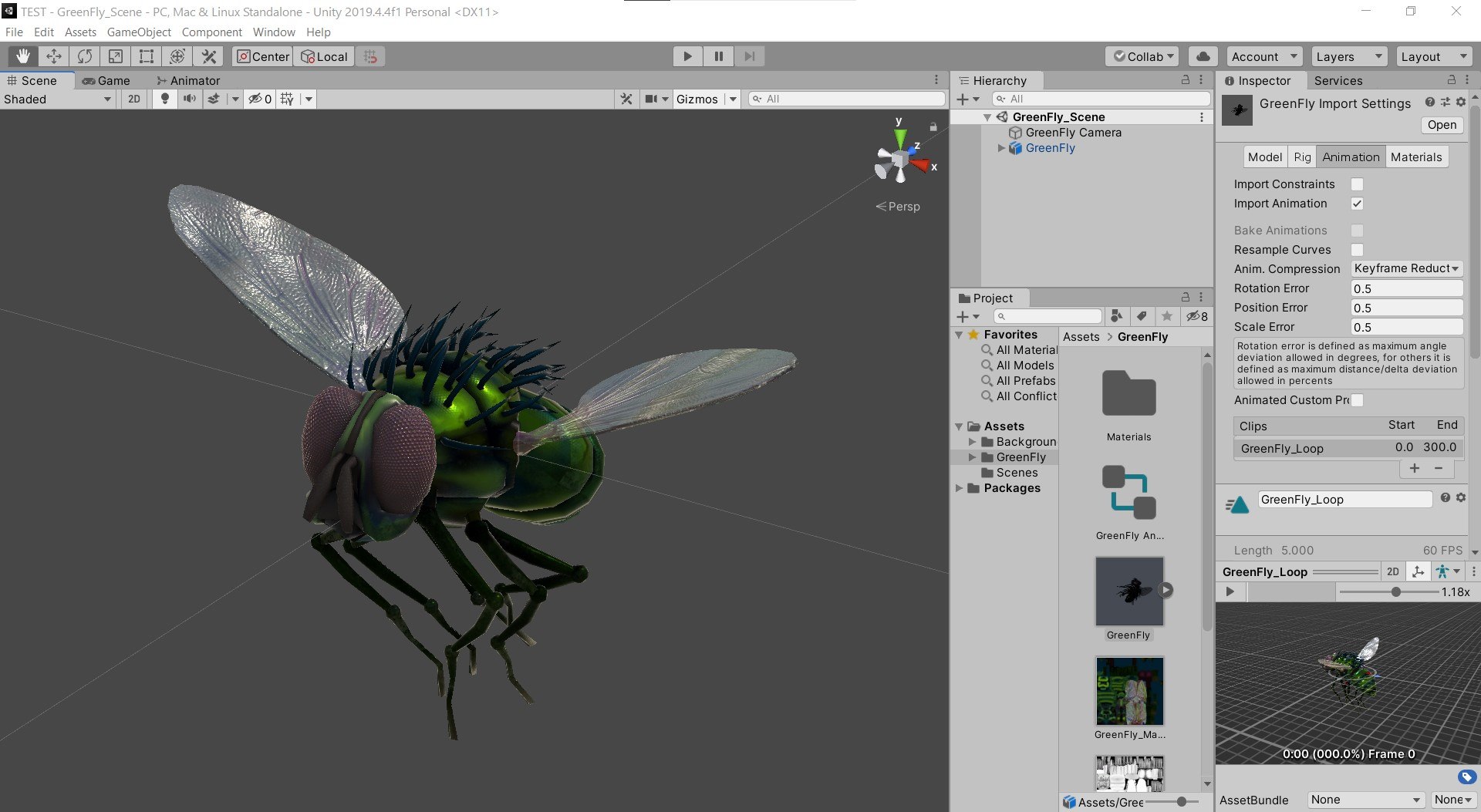 3D Green Fly Loop Animation - TurboSquid 1630852