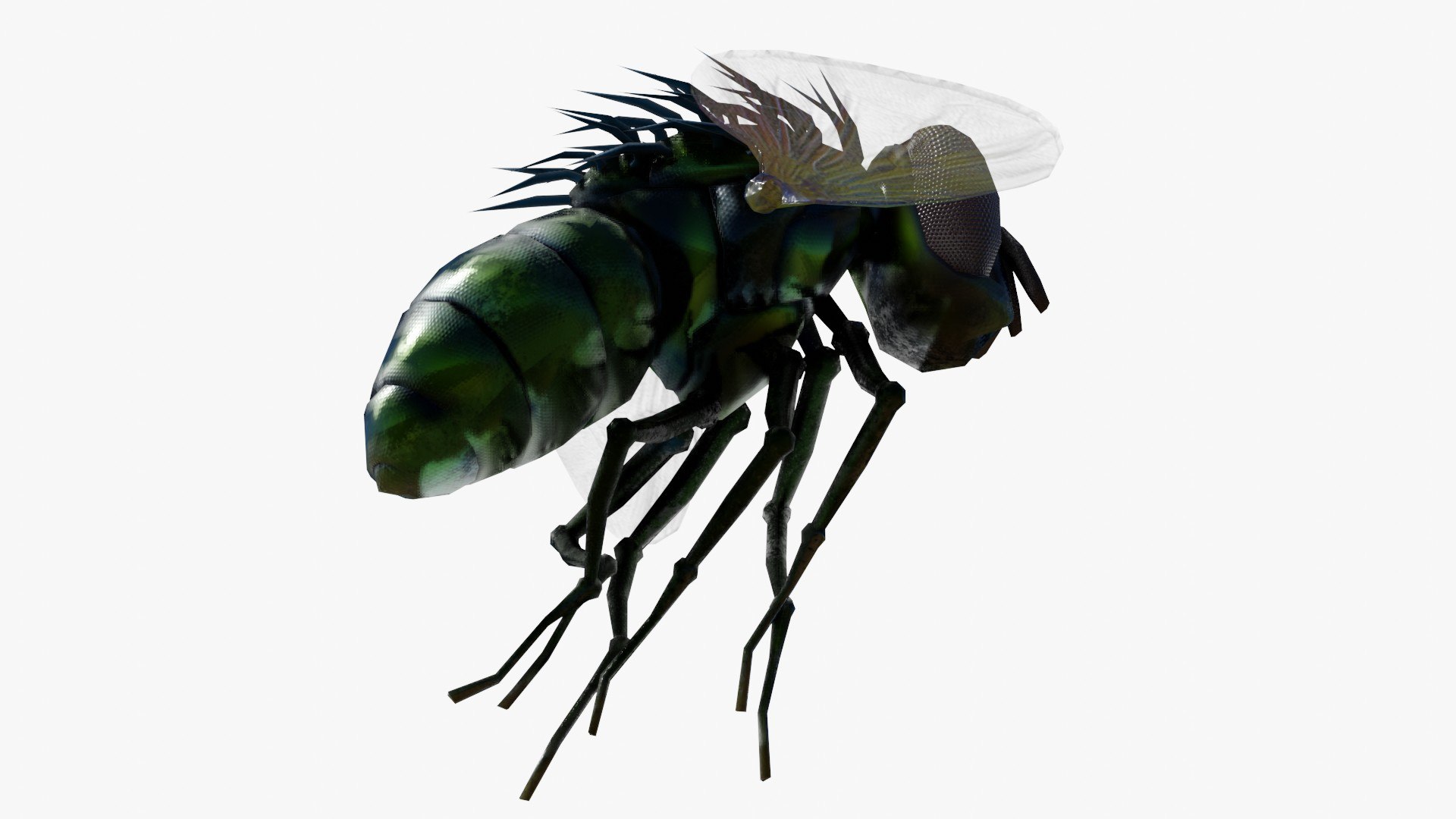 3D Green Fly Loop Animation - TurboSquid 1630852