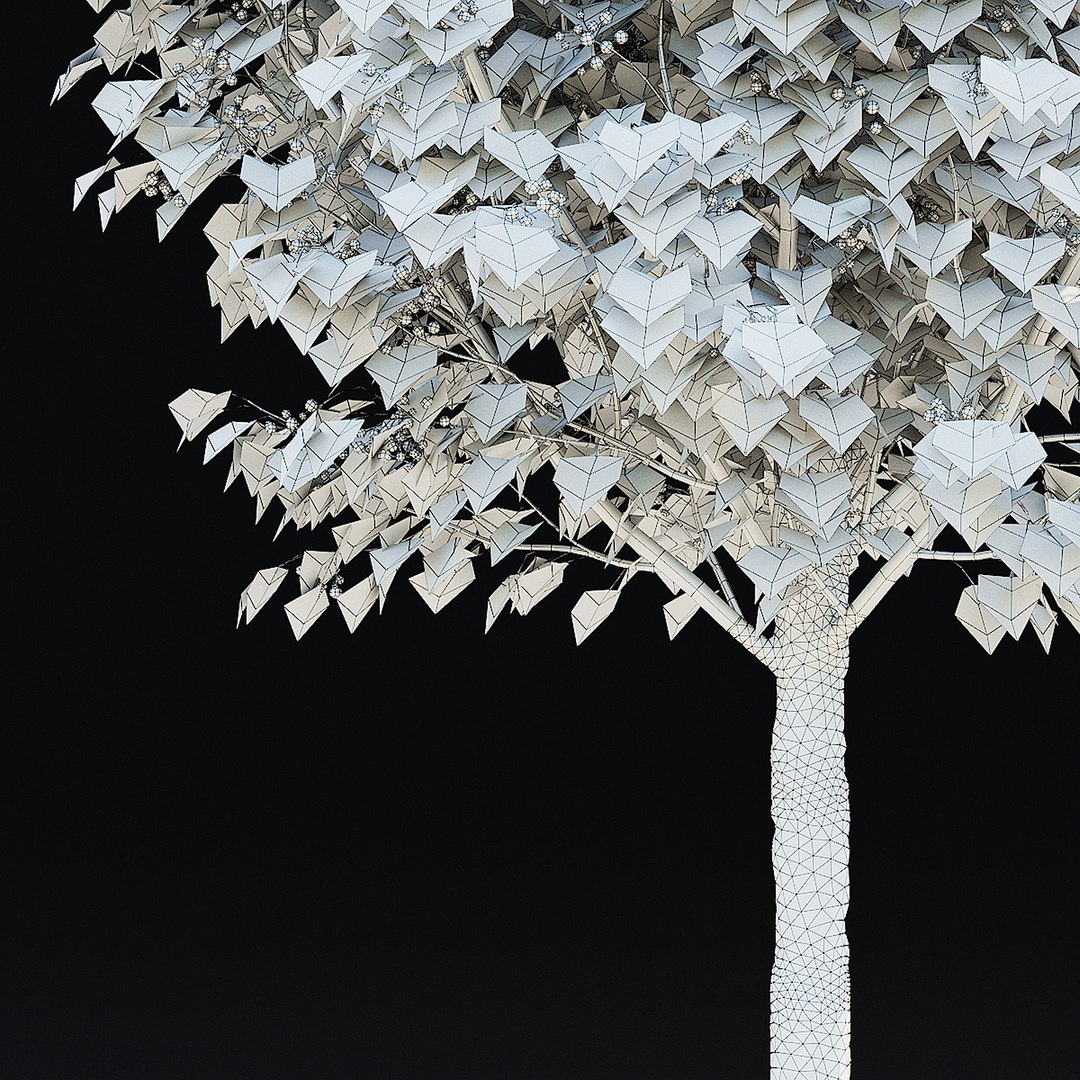 3D Model Pyrus Calleryana Chanticlee Tree - TurboSquid 2106492