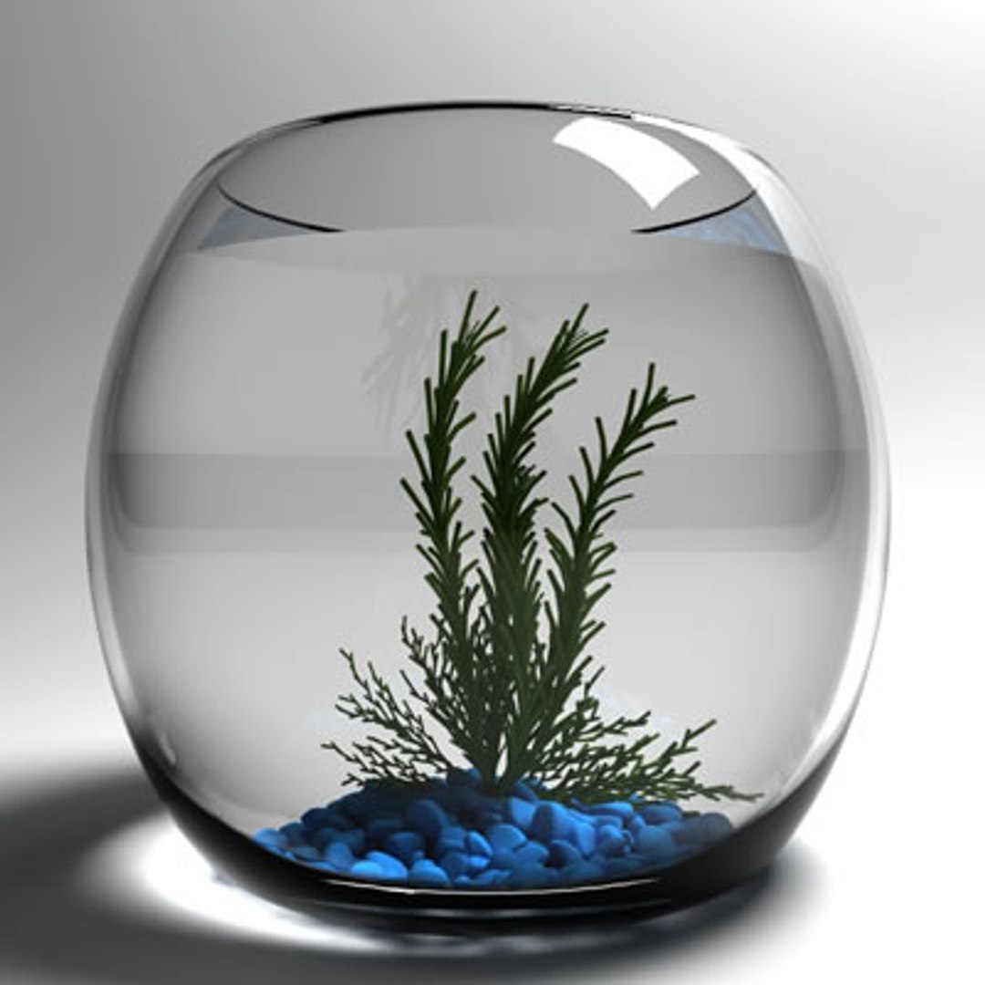 3d model of aquarium aquatic