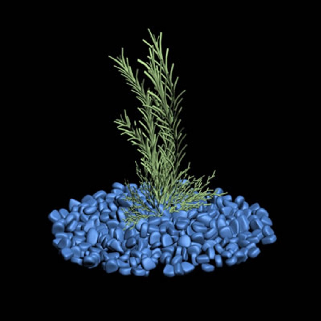 3d model of aquarium aquatic