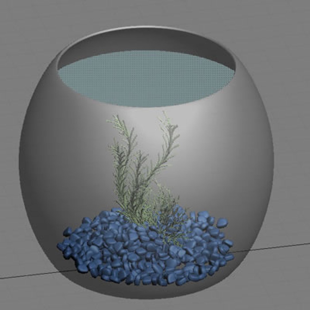 3d model of aquarium aquatic