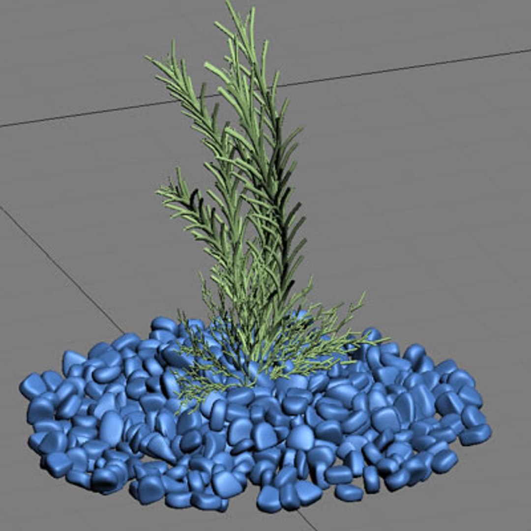 3d model of aquarium aquatic