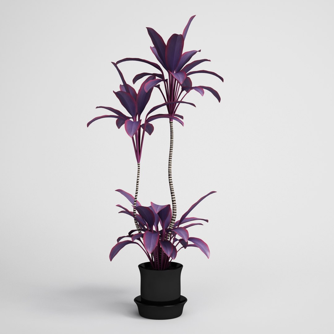 3d plant model