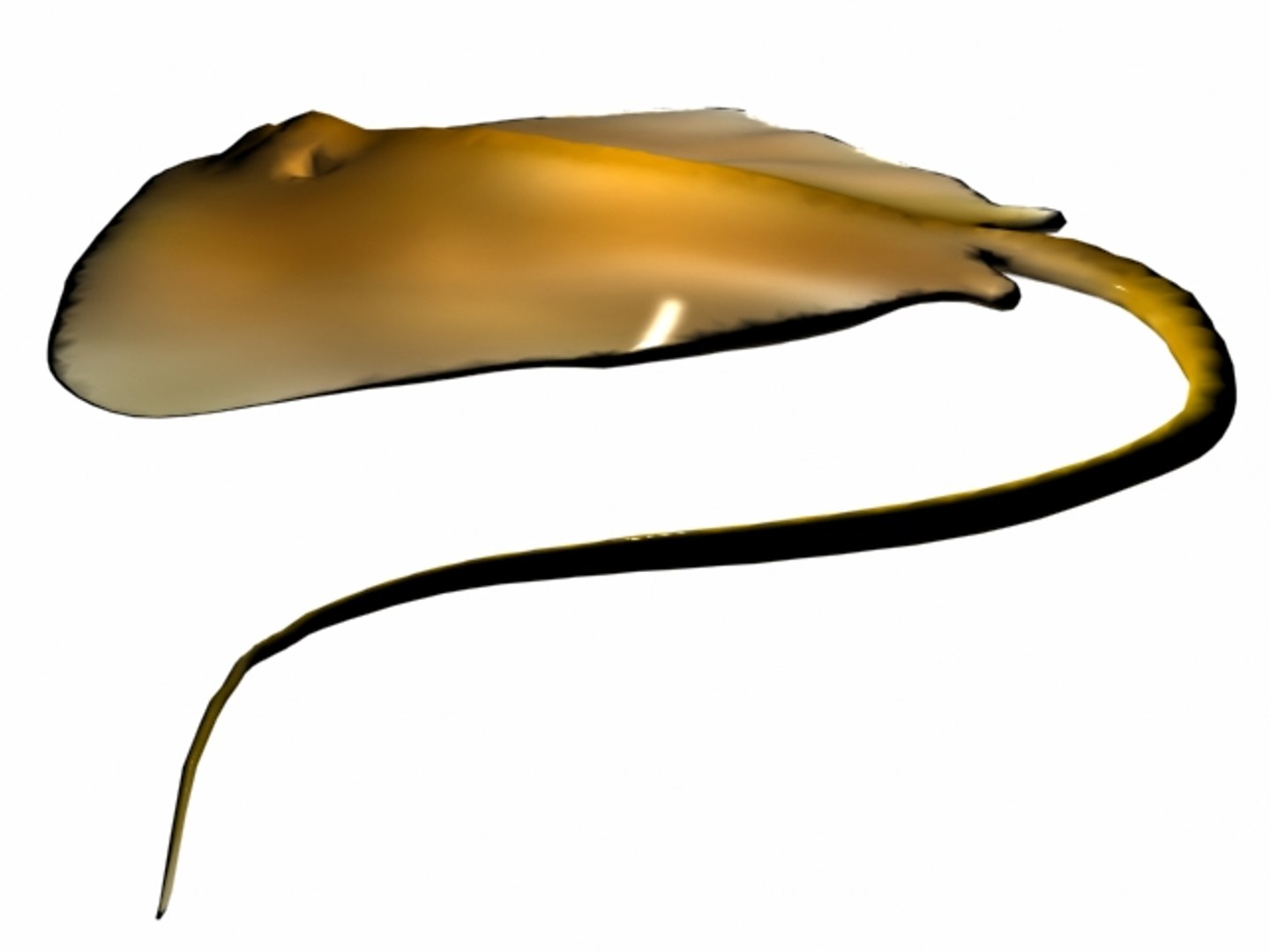 3d Model Stingray Fish