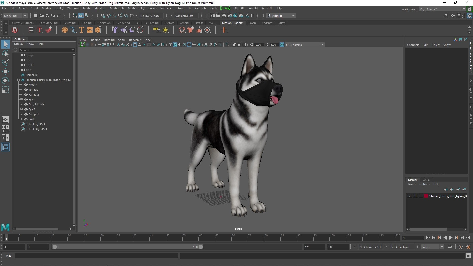 Siberian Husky With Nylon Dog Muzzle 3D Model - TurboSquid 2273683