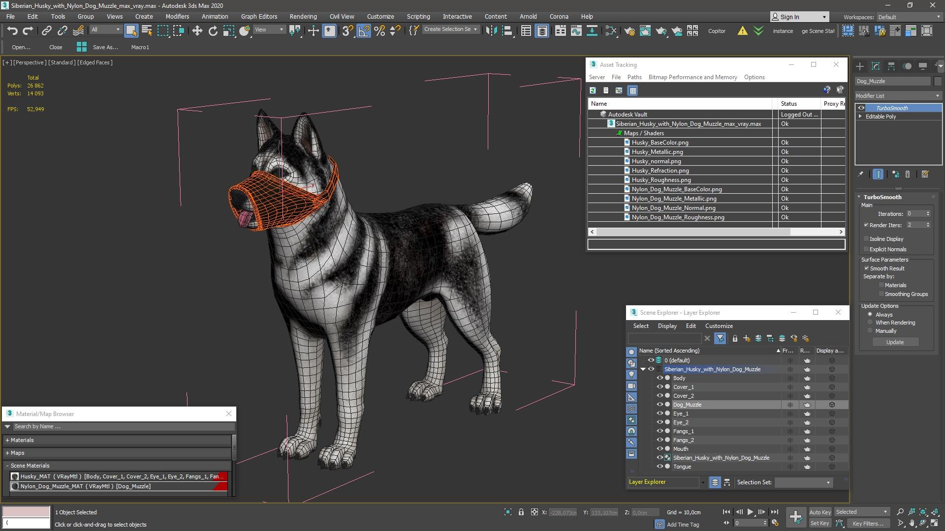 Siberian Husky With Nylon Dog Muzzle 3D Model - TurboSquid 2273683