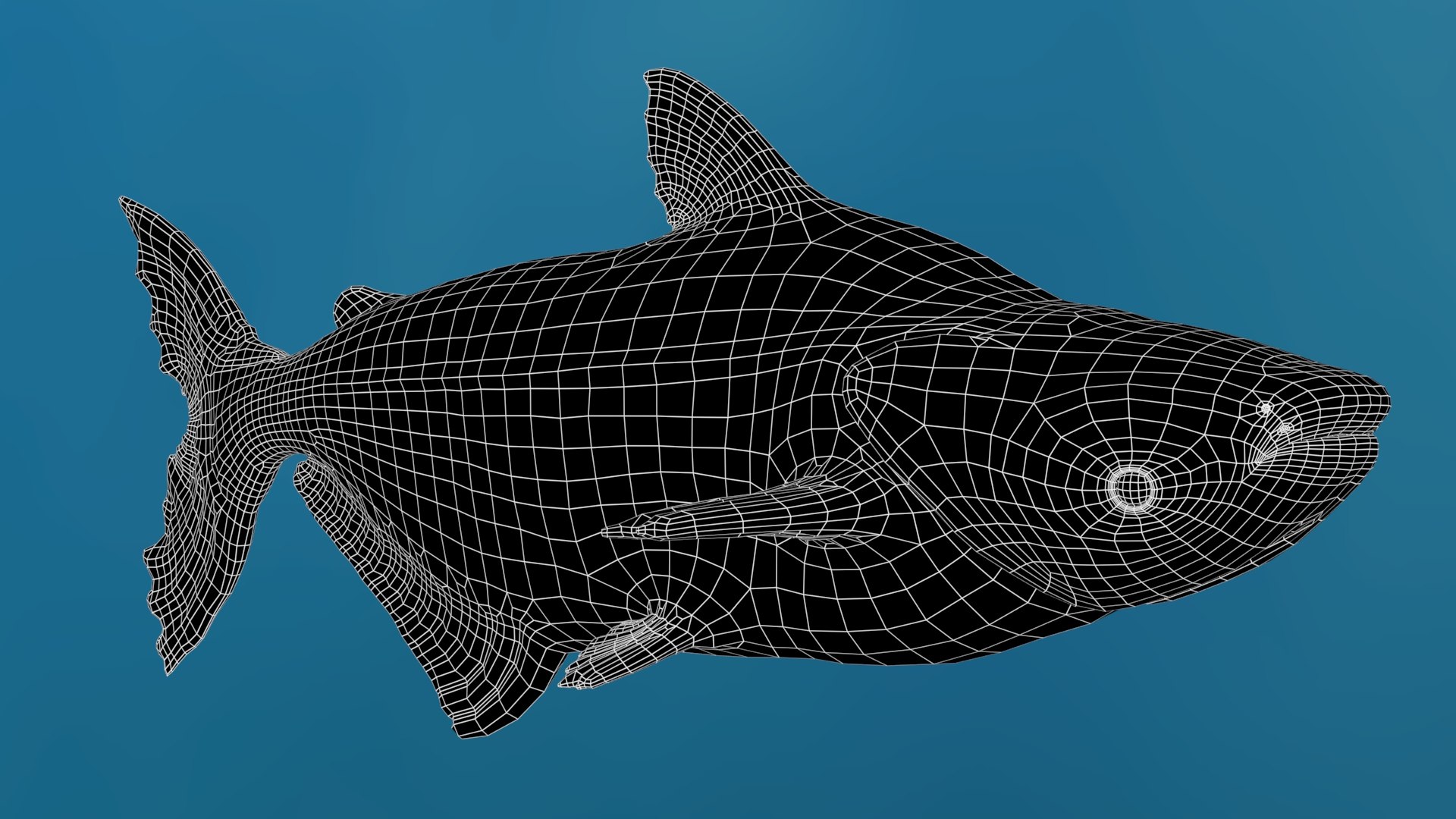 Animated Mekong Giant Catfish 3D Model - TurboSquid 2089248