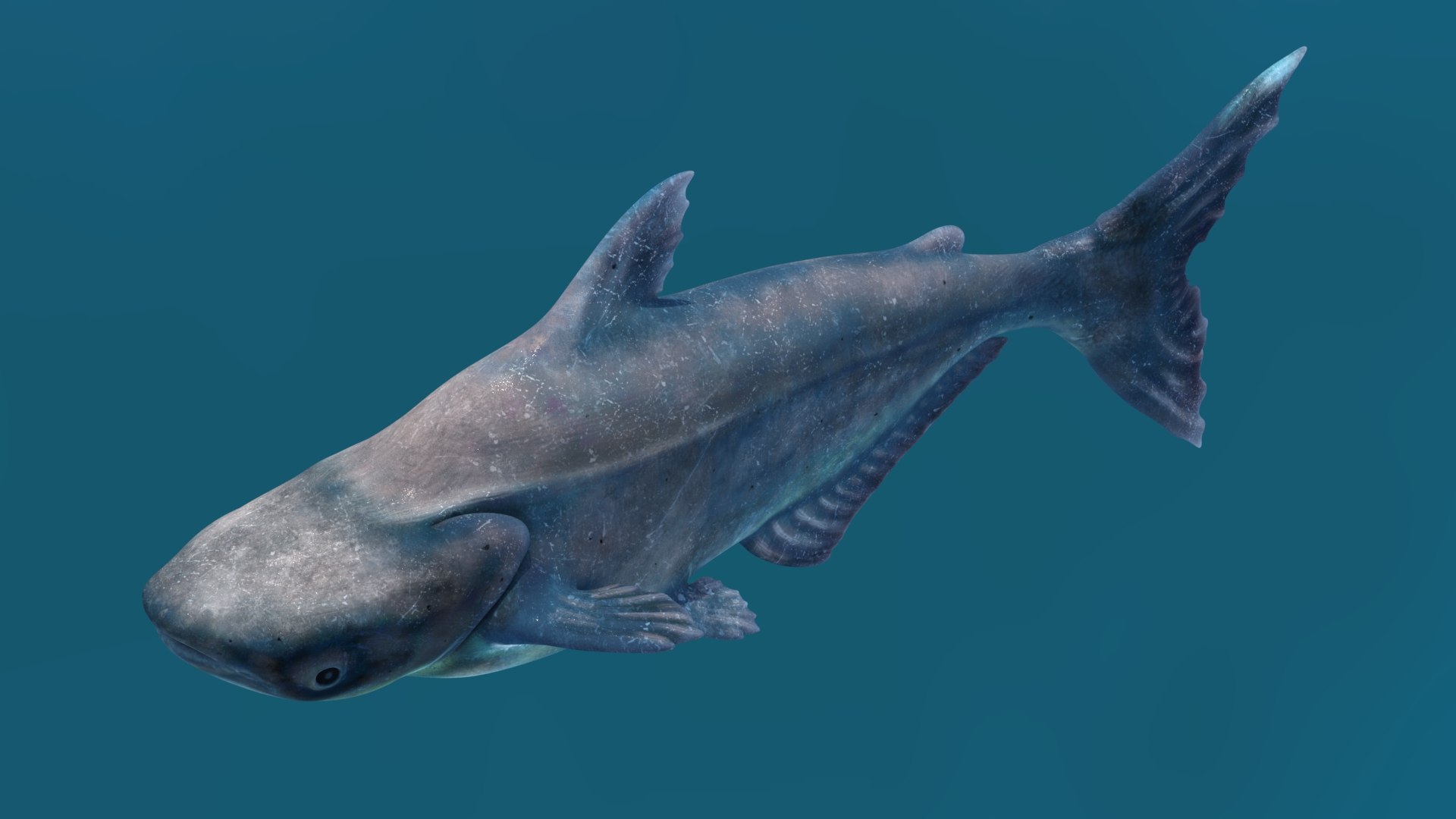 Animated Mekong Giant Catfish 3D Model - TurboSquid 2089248