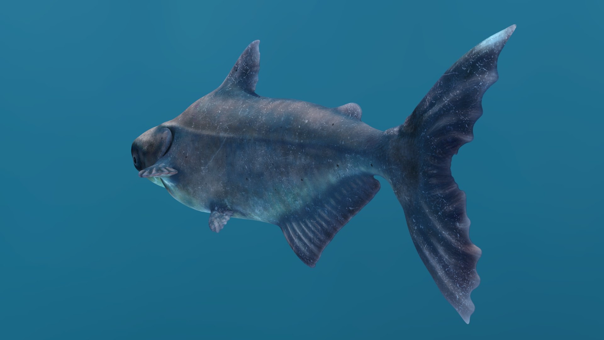 Animated Mekong Giant Catfish 3D Model - TurboSquid 2089248