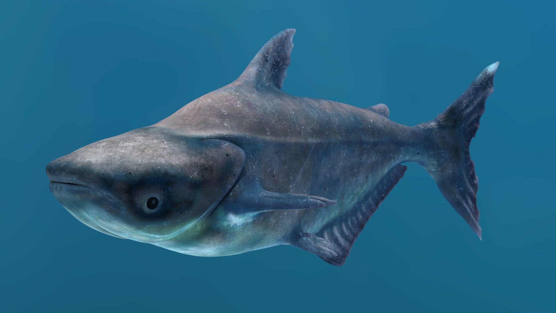 Animated Mekong Giant Catfish 3D Model - TurboSquid 2089248