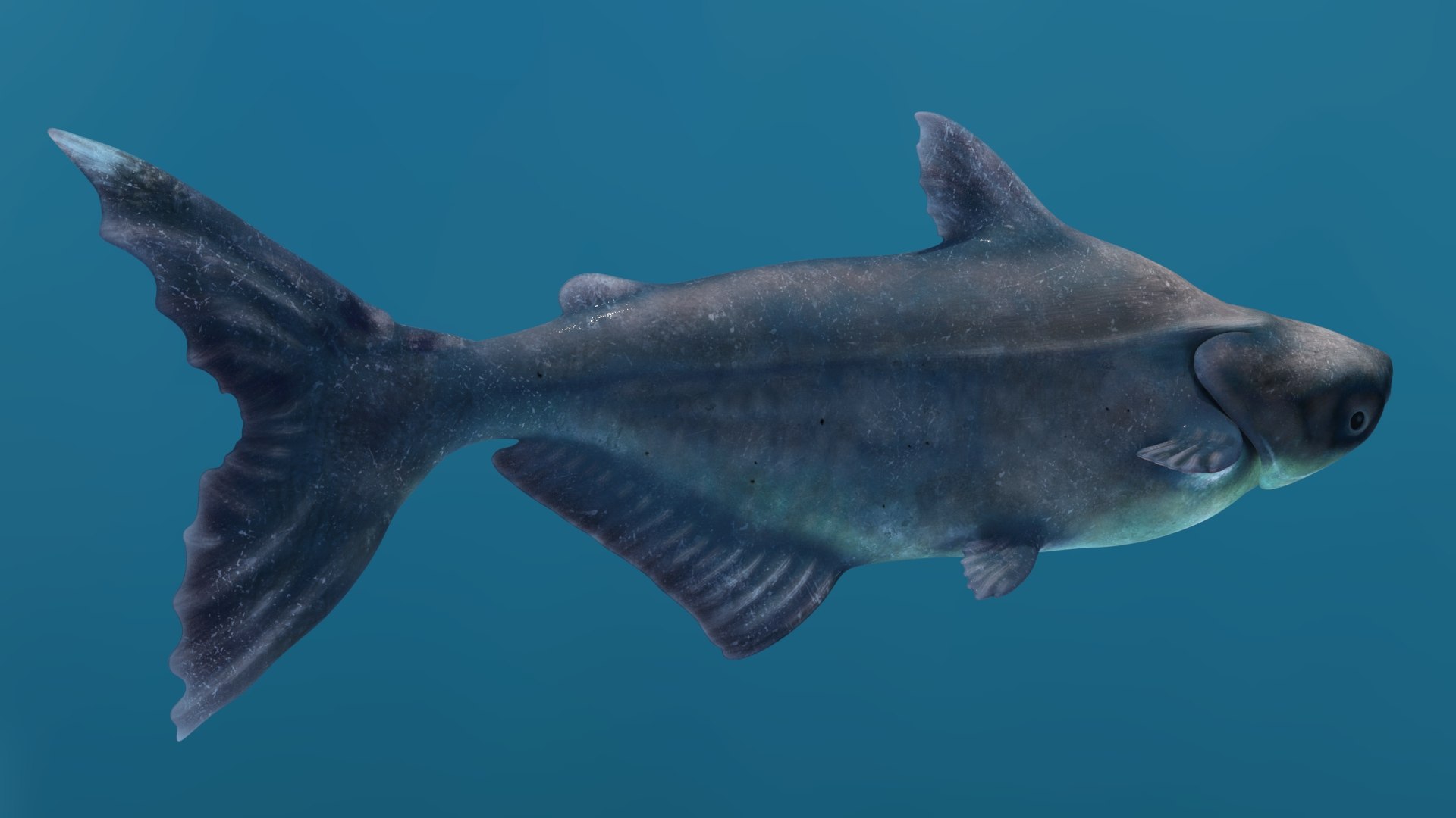 Animated Mekong Giant Catfish 3D model - TurboSquid 2089248