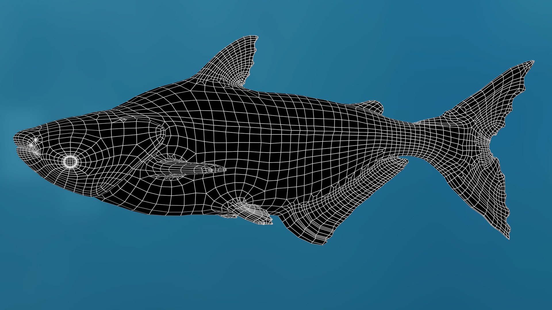 Animated Mekong Giant Catfish 3D Model - TurboSquid 2089248