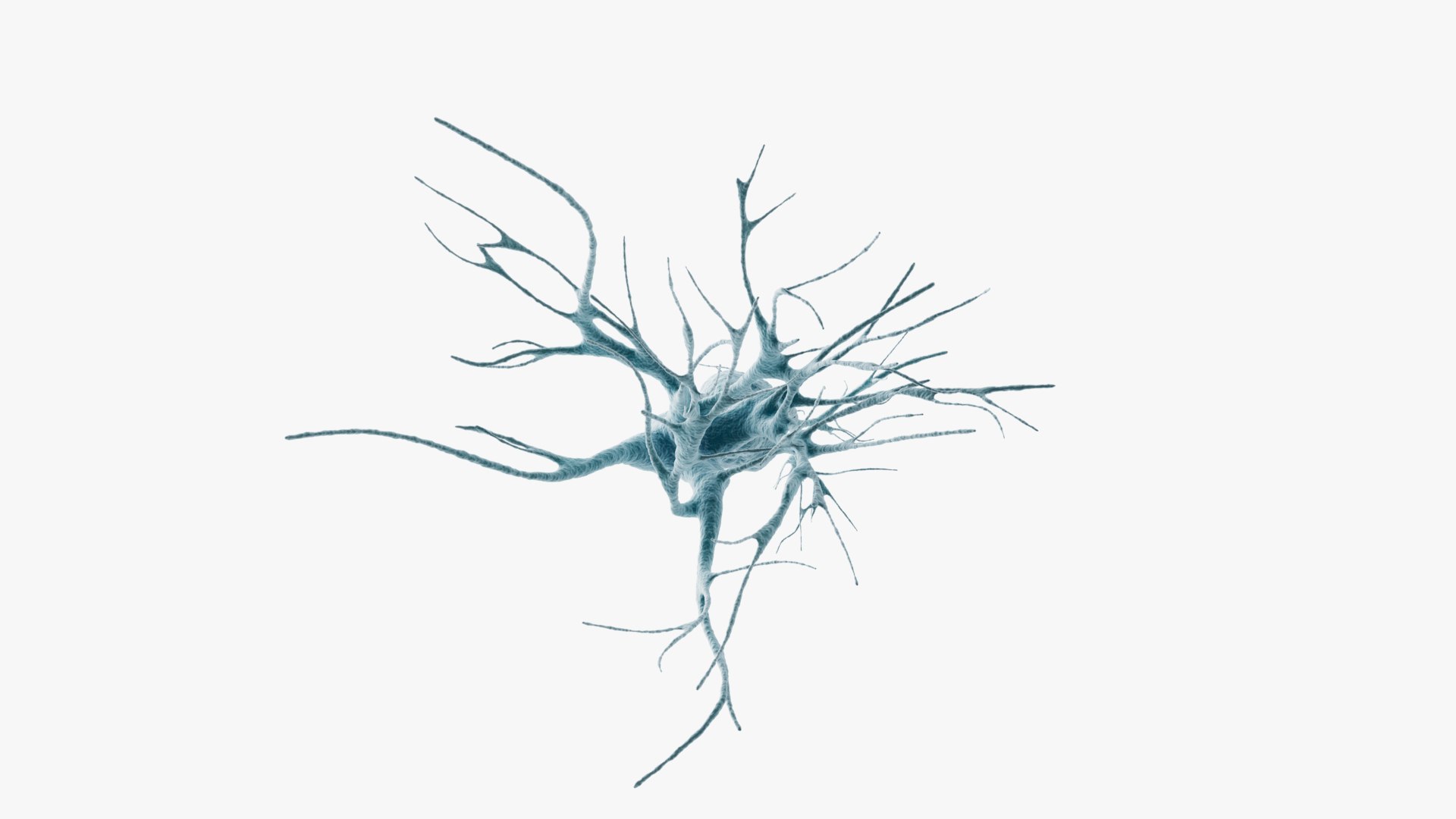 Neuron Bipolar Model - TurboSquid 2235927