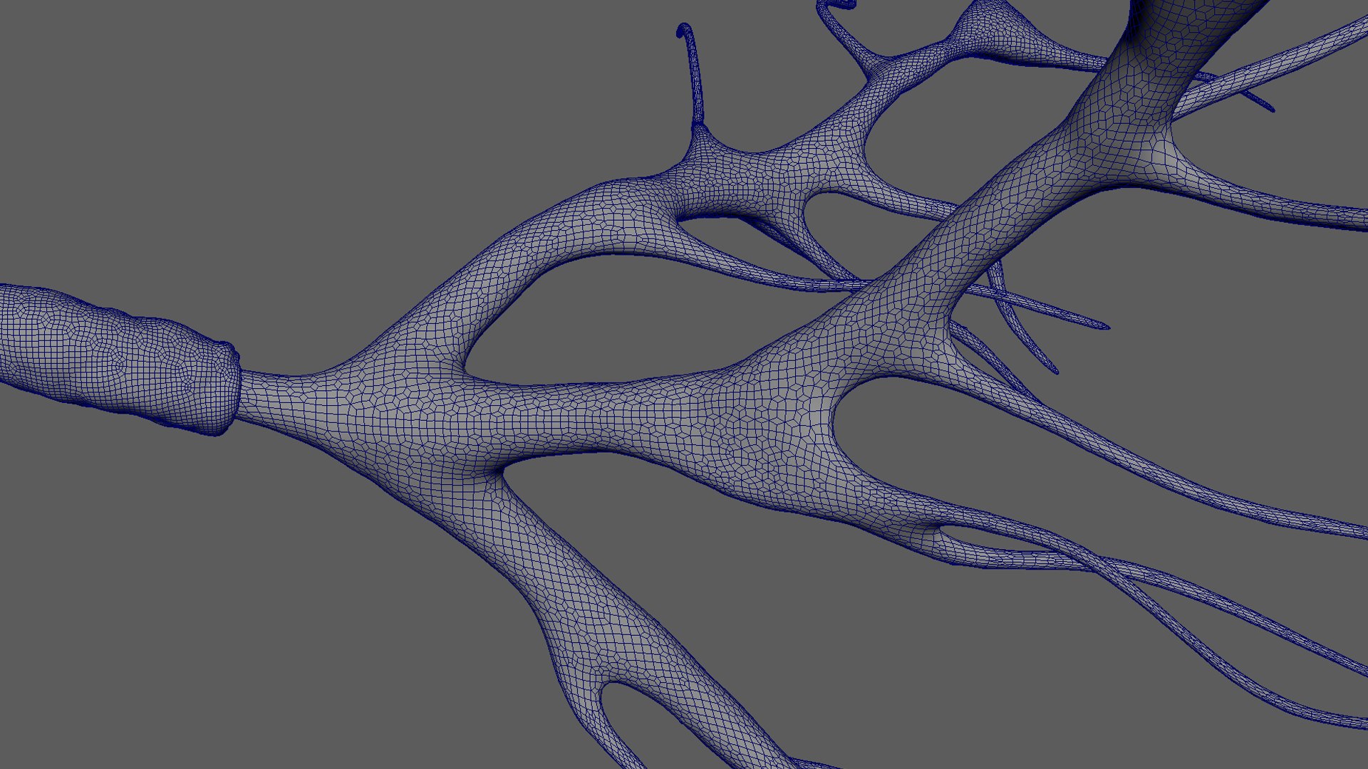 Neuron Bipolar Model - TurboSquid 2235927