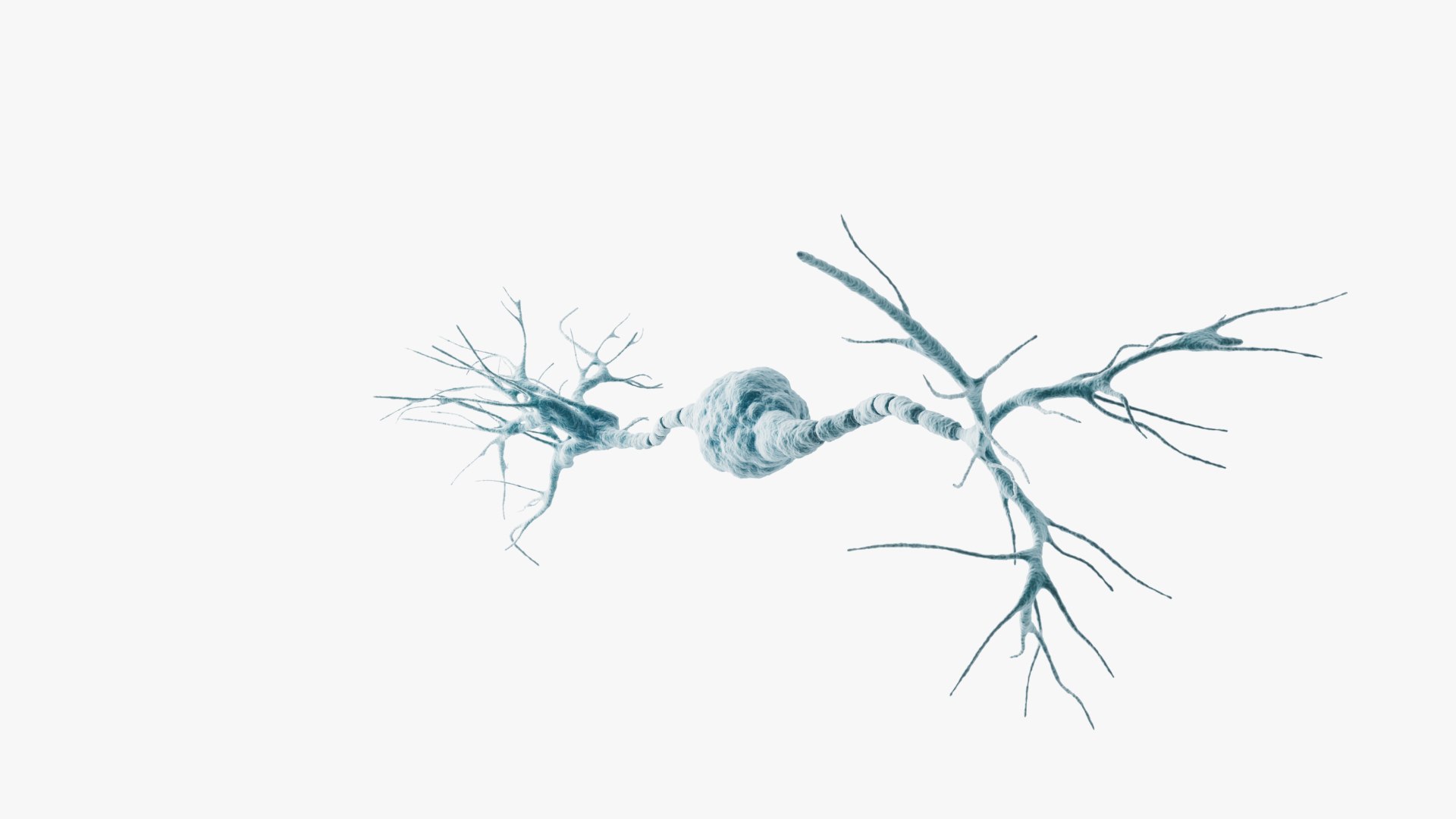 Neuron Bipolar Model - TurboSquid 2235927