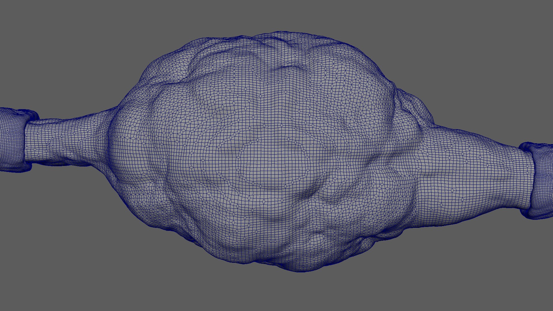 Neuron Bipolar Model - TurboSquid 2235927