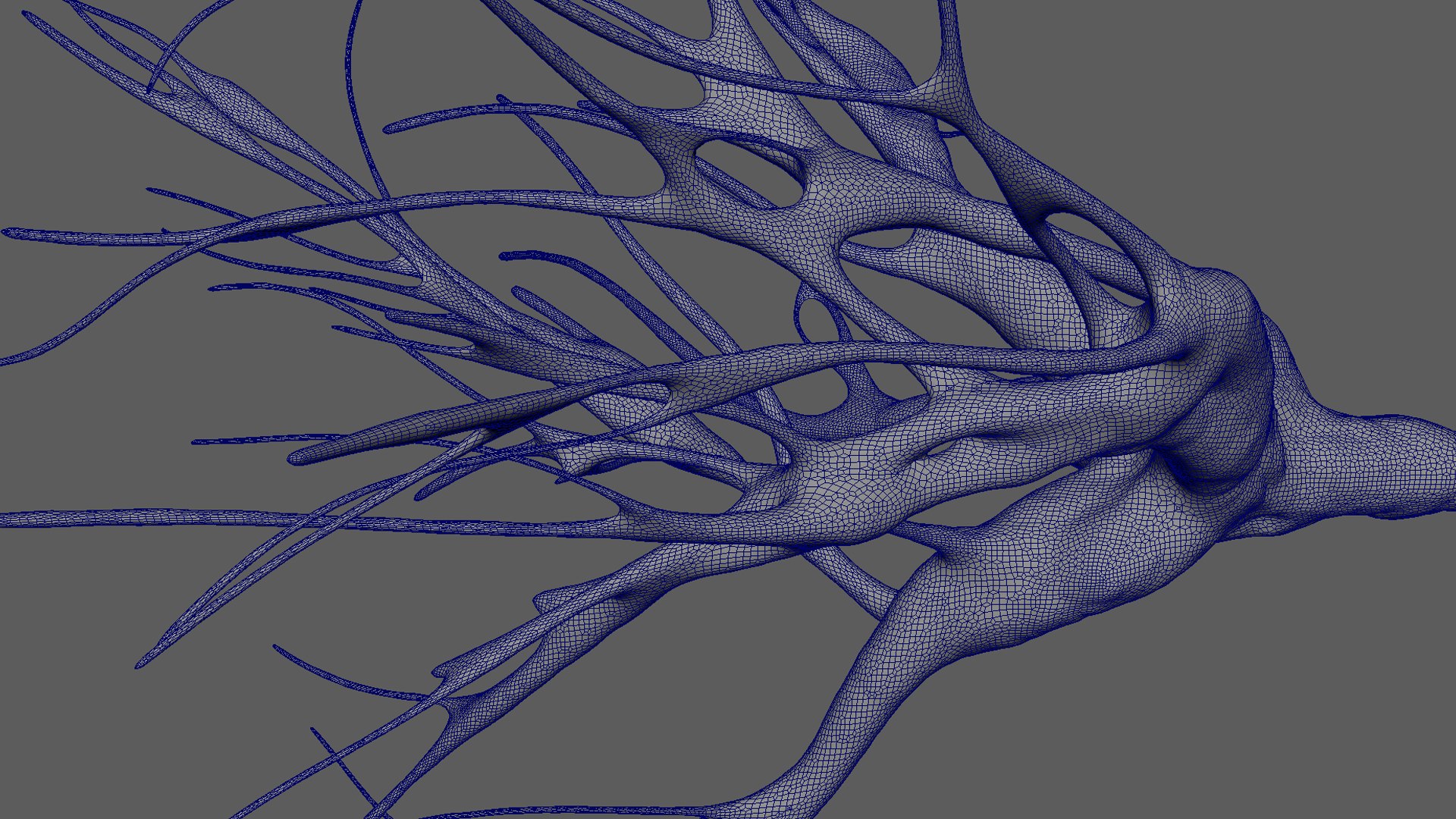 Neuron Bipolar Model - TurboSquid 2235927