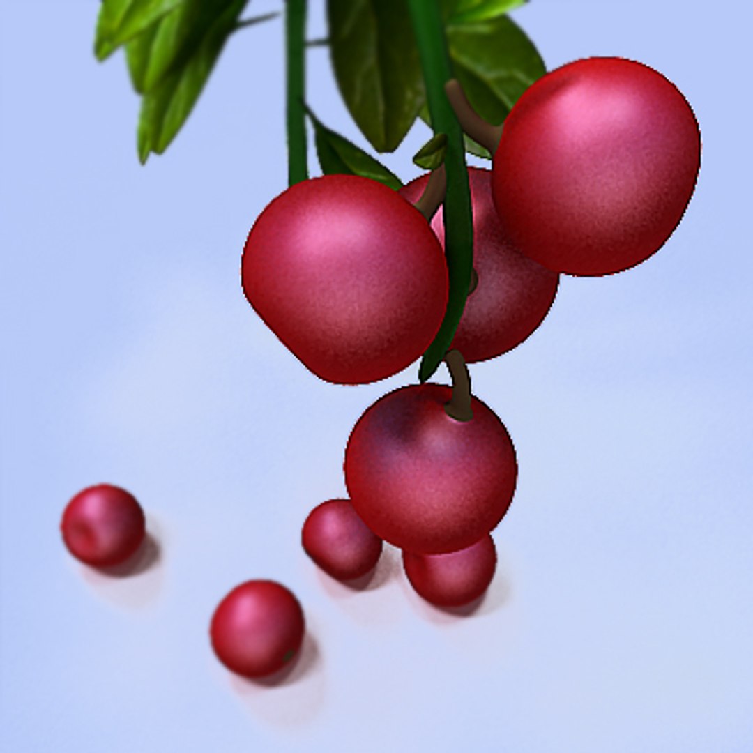 3d Model Common Berries