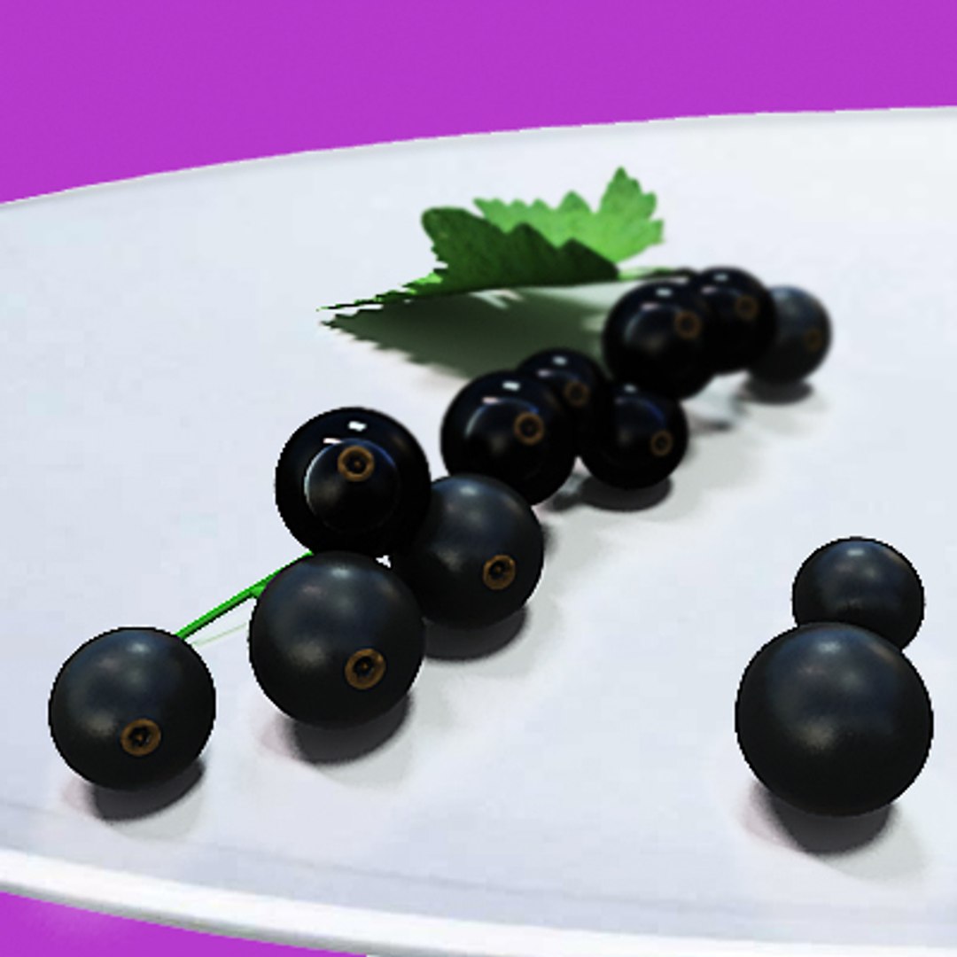 3d Model Common Berries