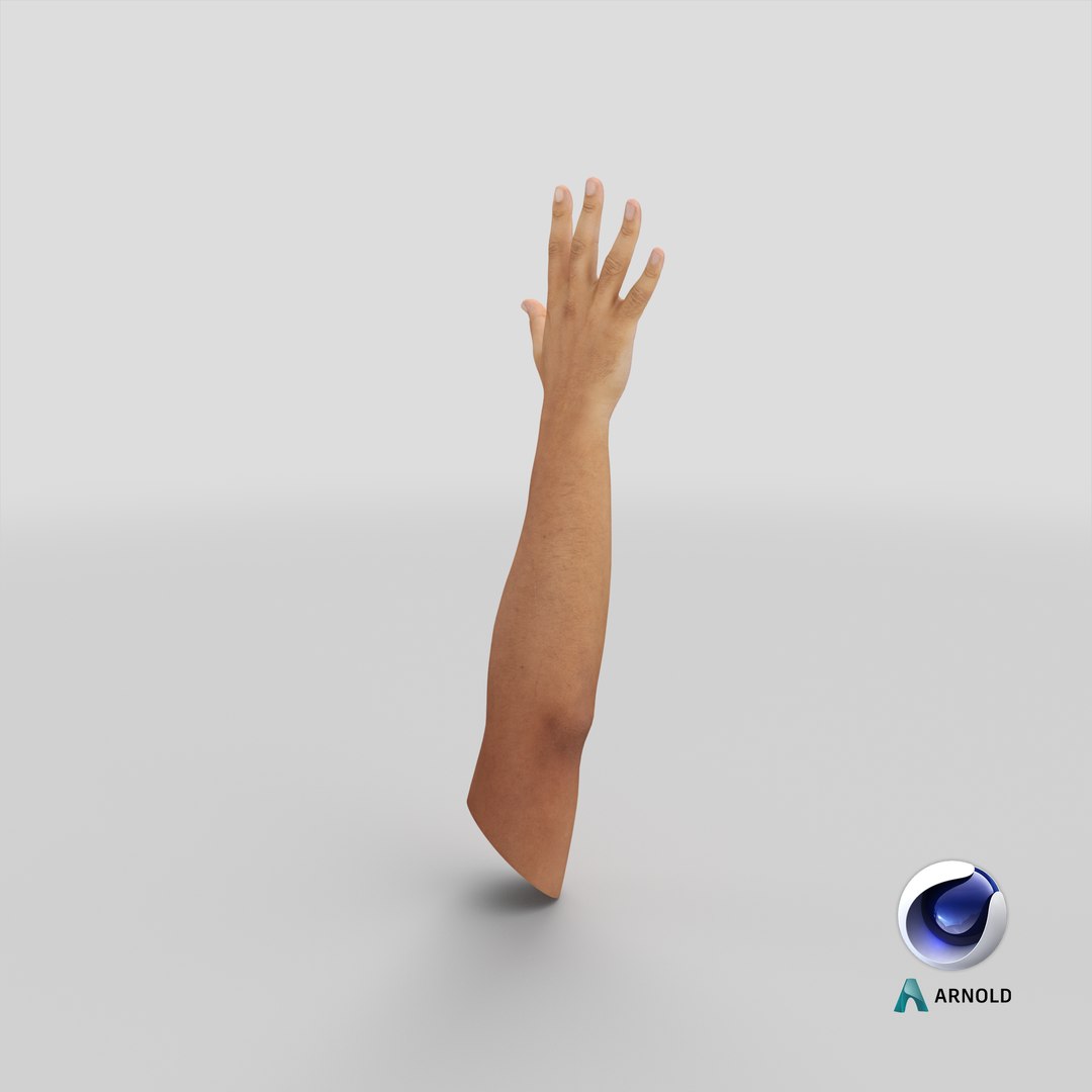 Benjamin Hand 3D model - TurboSquid 1961606