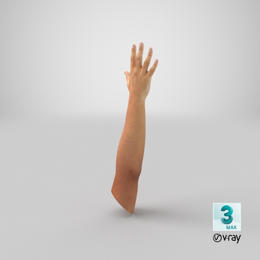 Benjamin Hand 3D model - TurboSquid 1961606