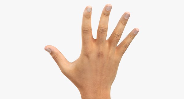 modelo 3d benjamin mano - TurboSquid 1961606