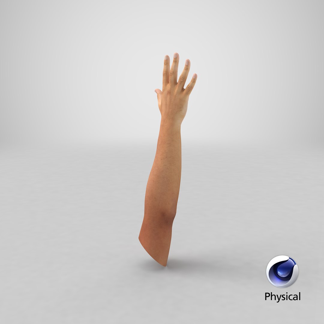 Benjamin Hand 3D model - TurboSquid 1961606