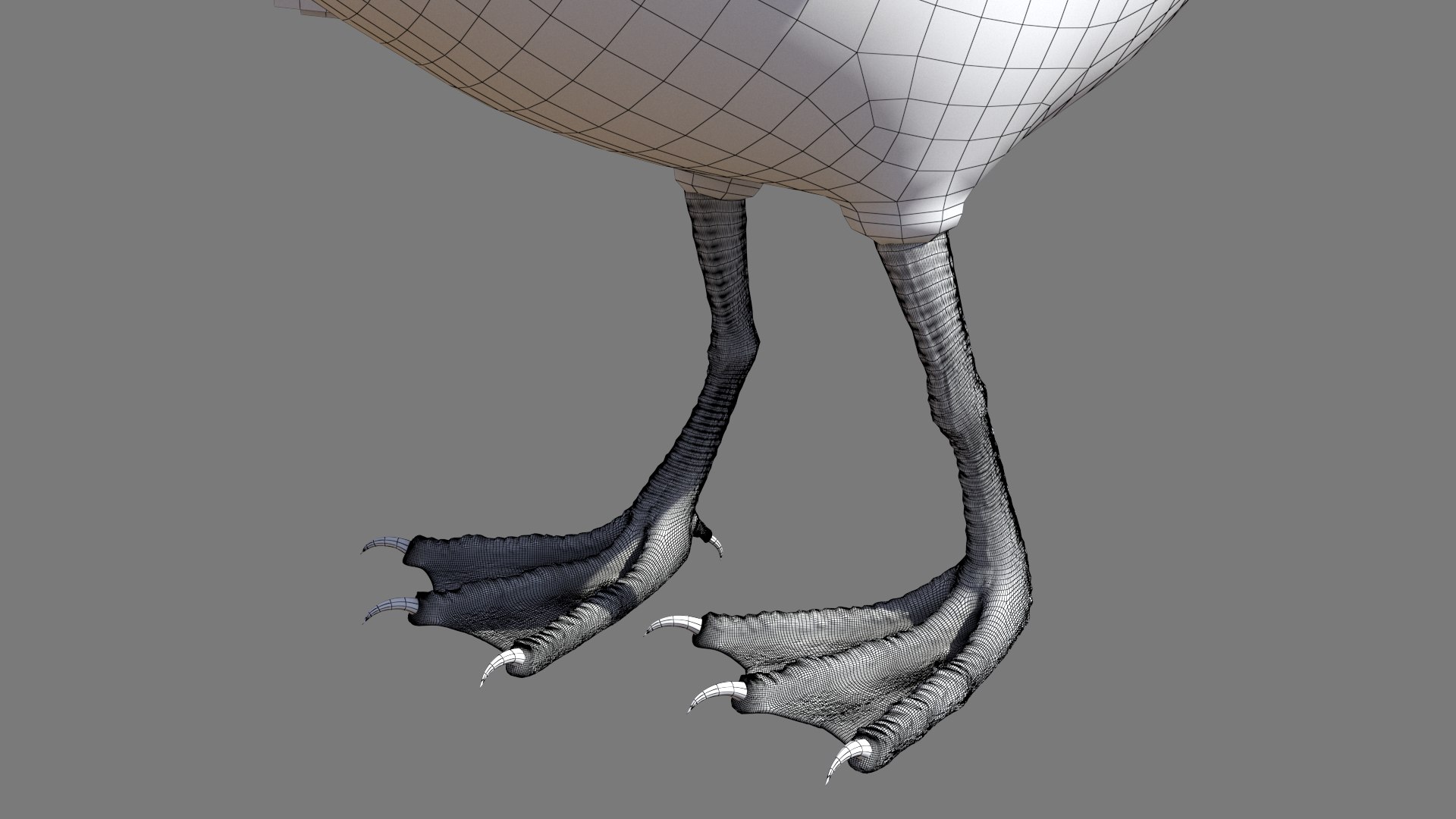 Gull Seagull Sea 3D Model - TurboSquid 1431631