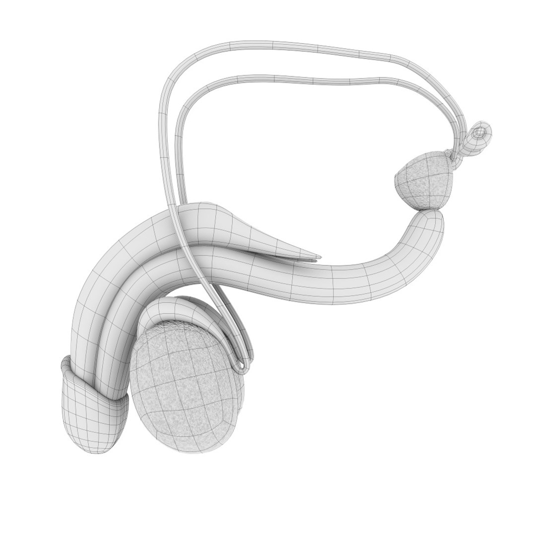 3D Male Reproductive - TurboSquid 1370588