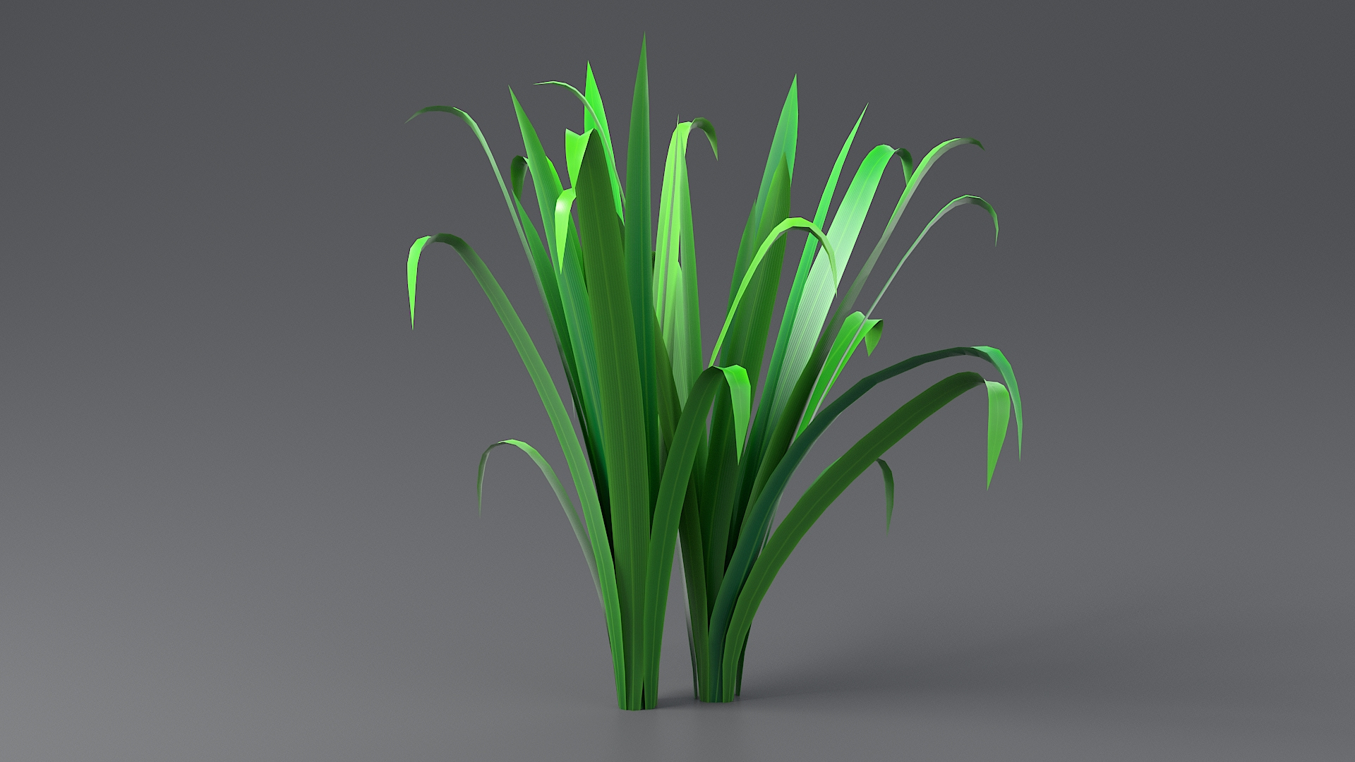 Cartoon Long Grass 07 3D - TurboSquid 2046384