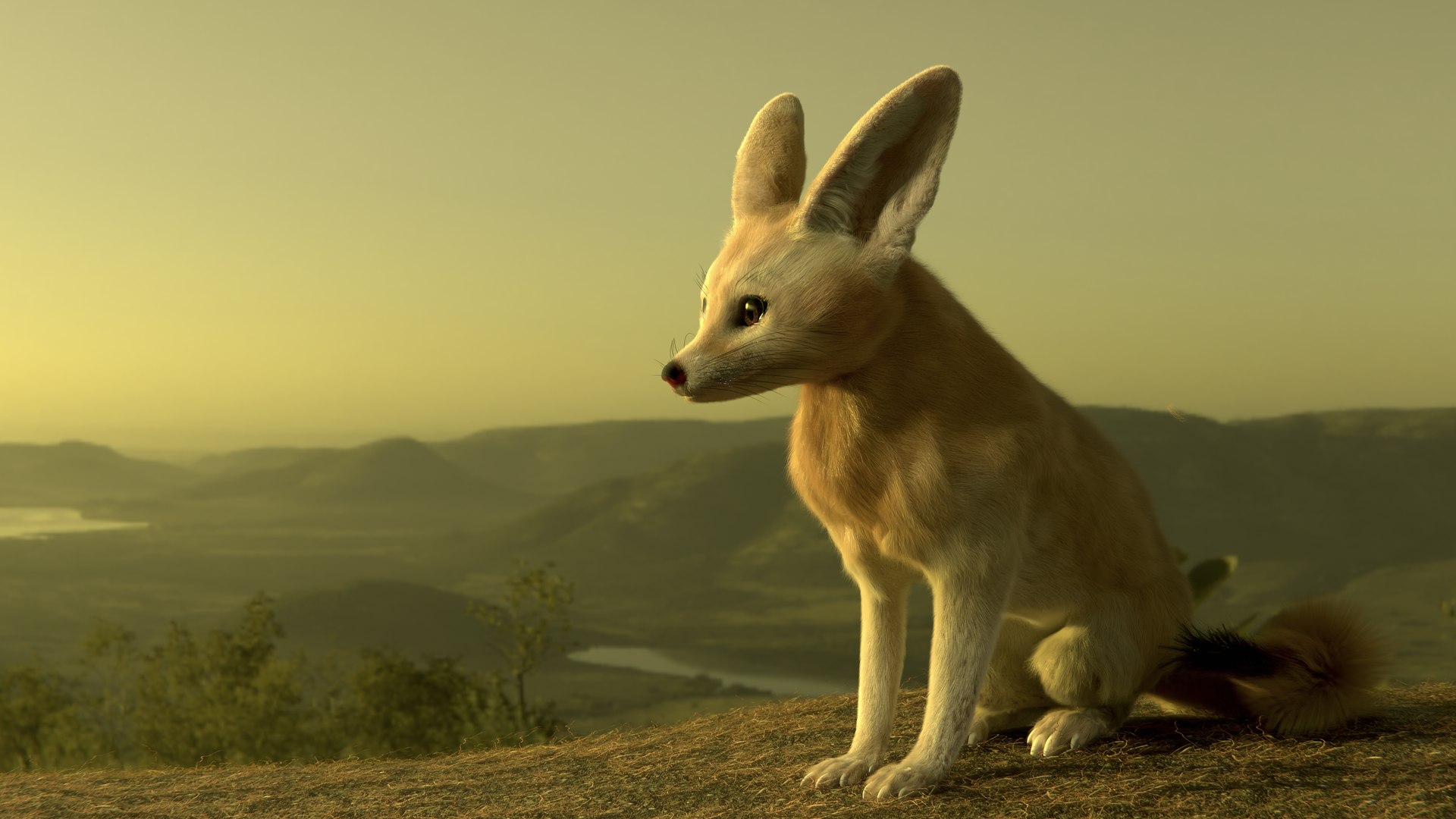 Fennec Fox Realism Low-poly 3D Model 3D Model - TurboSquid 2198584