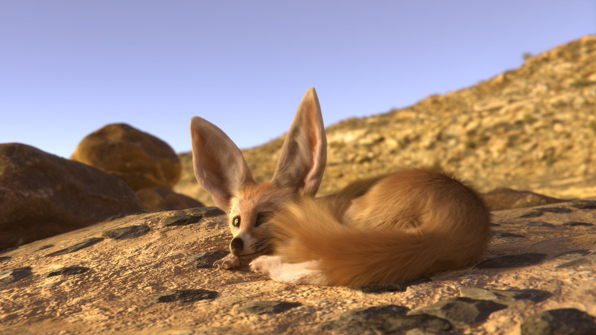 Fennec Fox Realism Low-poly 3D Model 3D Model - TurboSquid 2198584