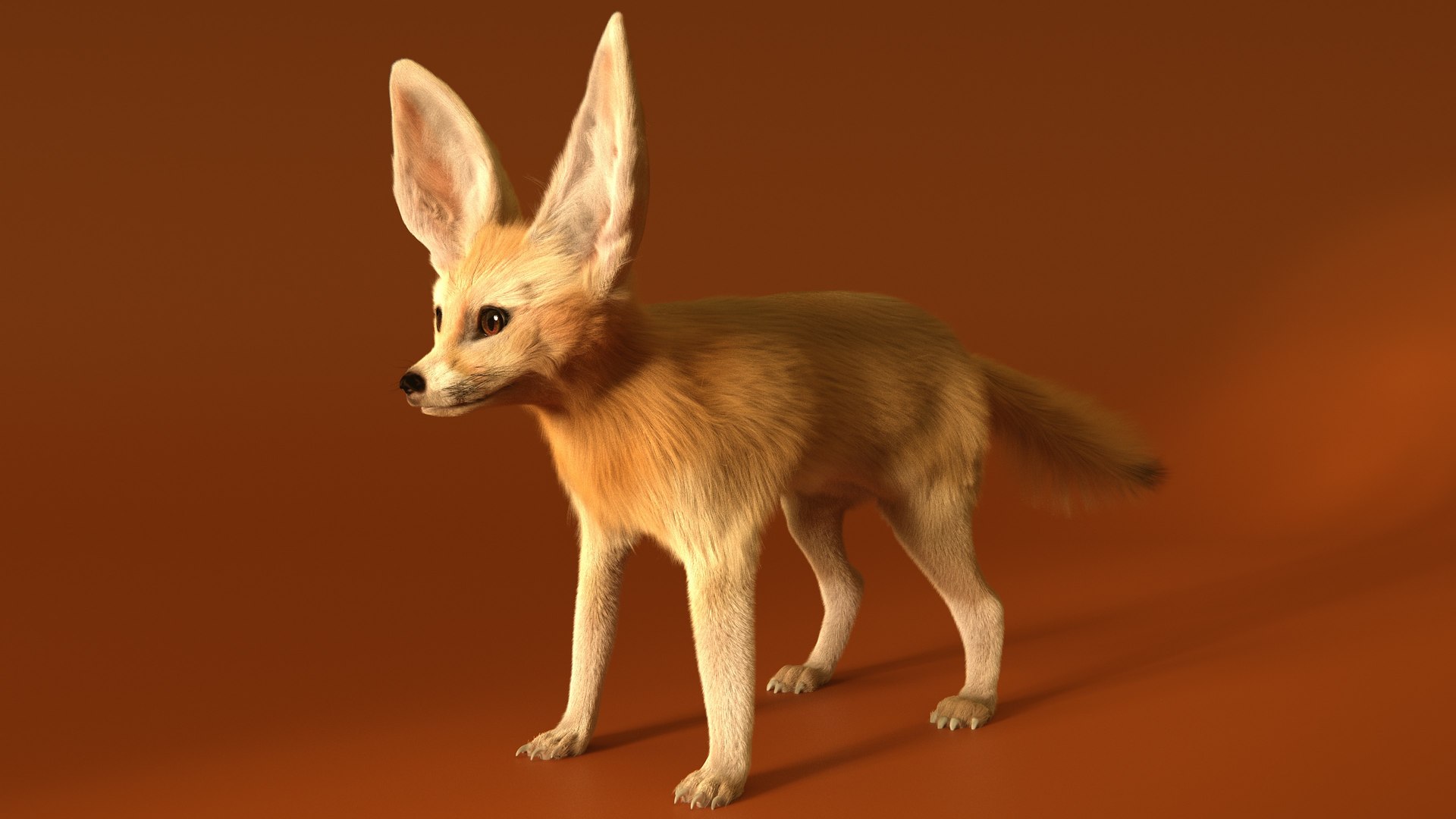 Fennec Fox Realism Low-poly 3D Model 3D Model - TurboSquid 2198584