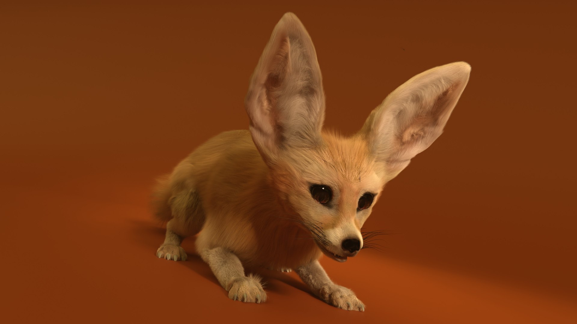Fennec Fox Realism Low-poly 3D Model 3D Model - TurboSquid 2198584