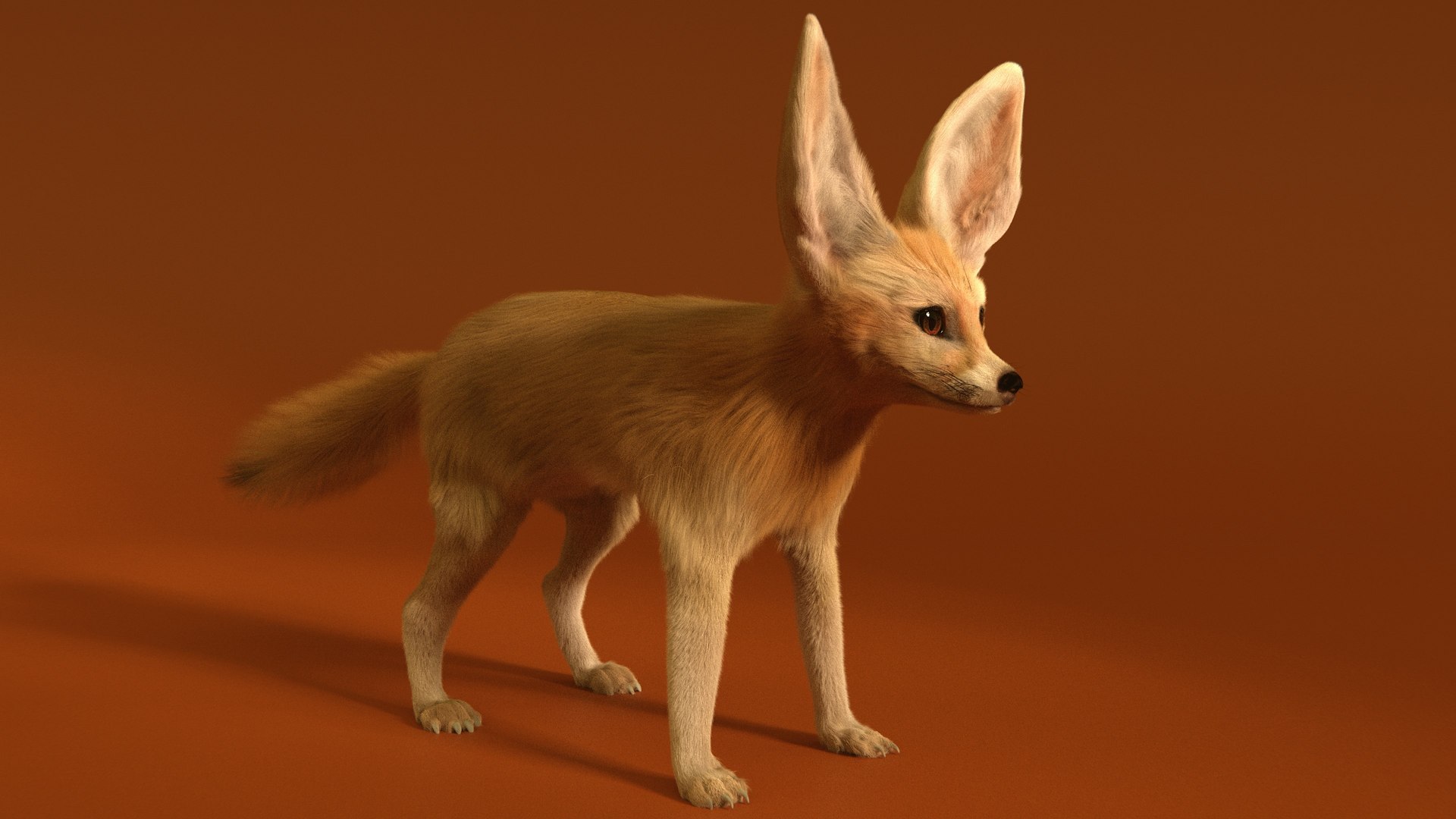 Fennec Fox Realism Low-poly 3D Model 3D Model - TurboSquid 2198584