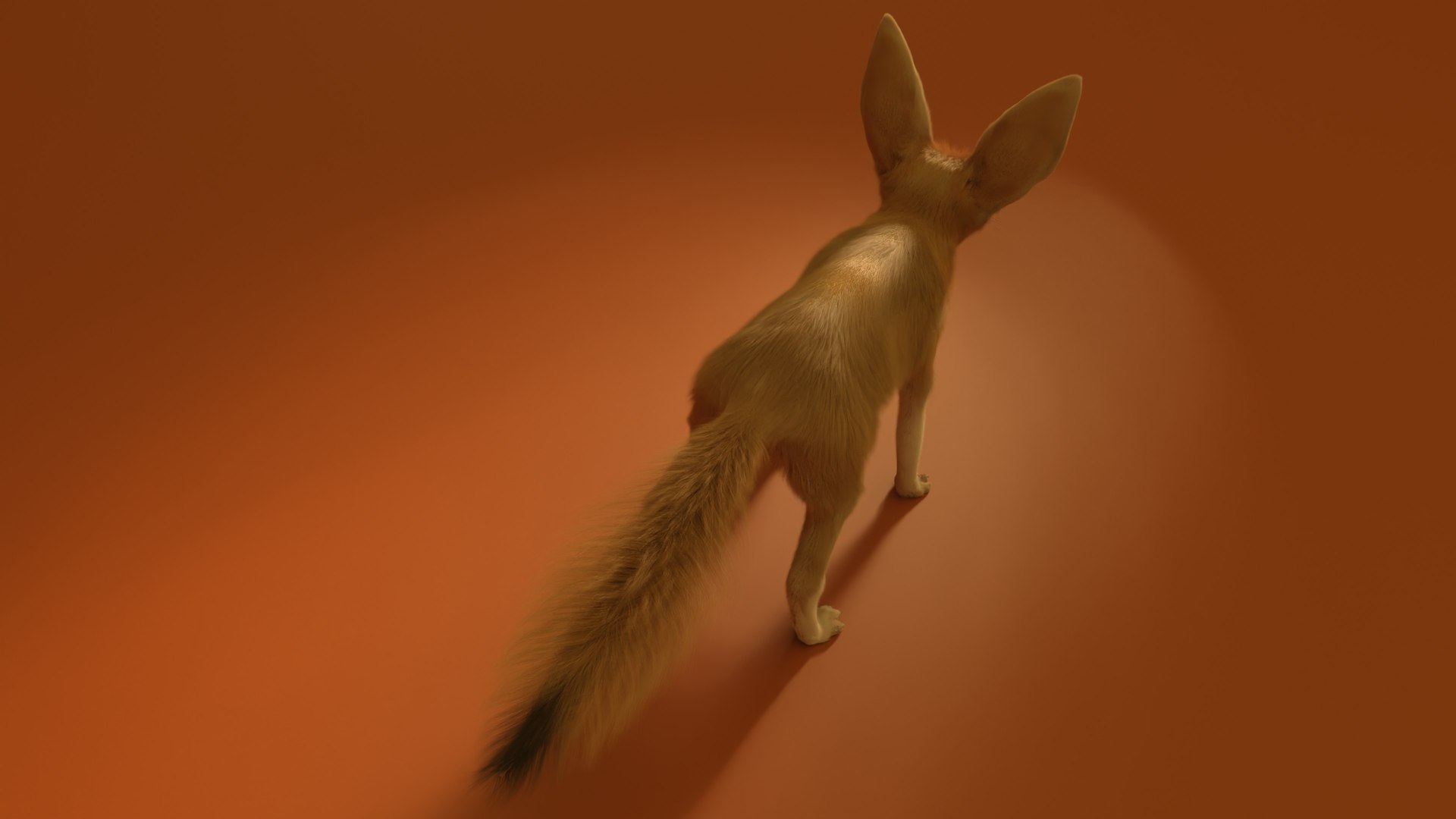Fennec Fox Realism Low-poly 3D Model 3D Model - TurboSquid 2198584
