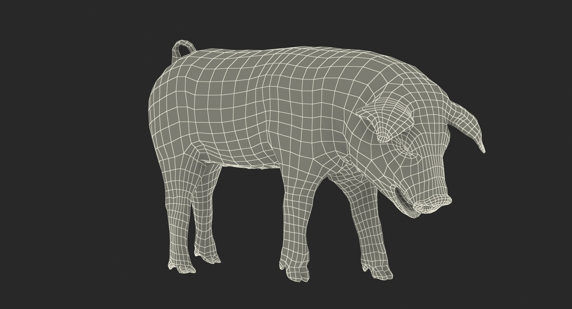 3D Pig Piglet Landrace Standing Model - TurboSquid 1357837