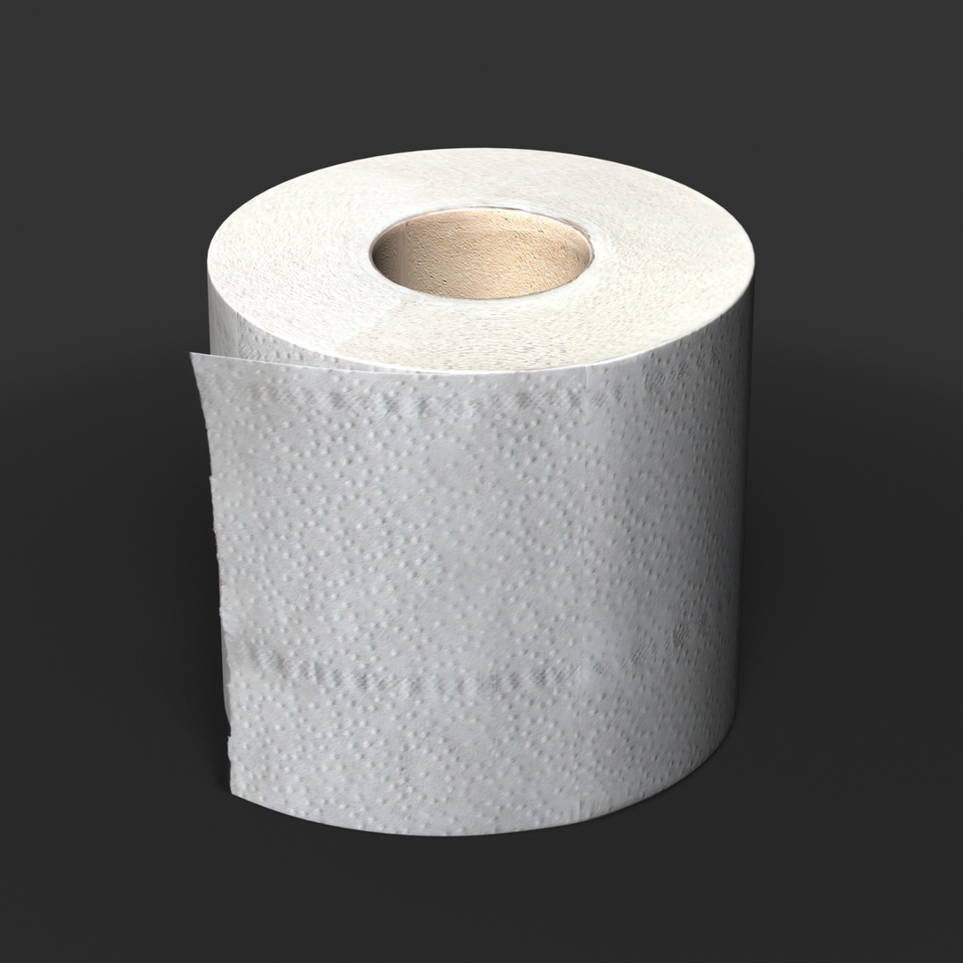 Toilet Paper 3d 3ds