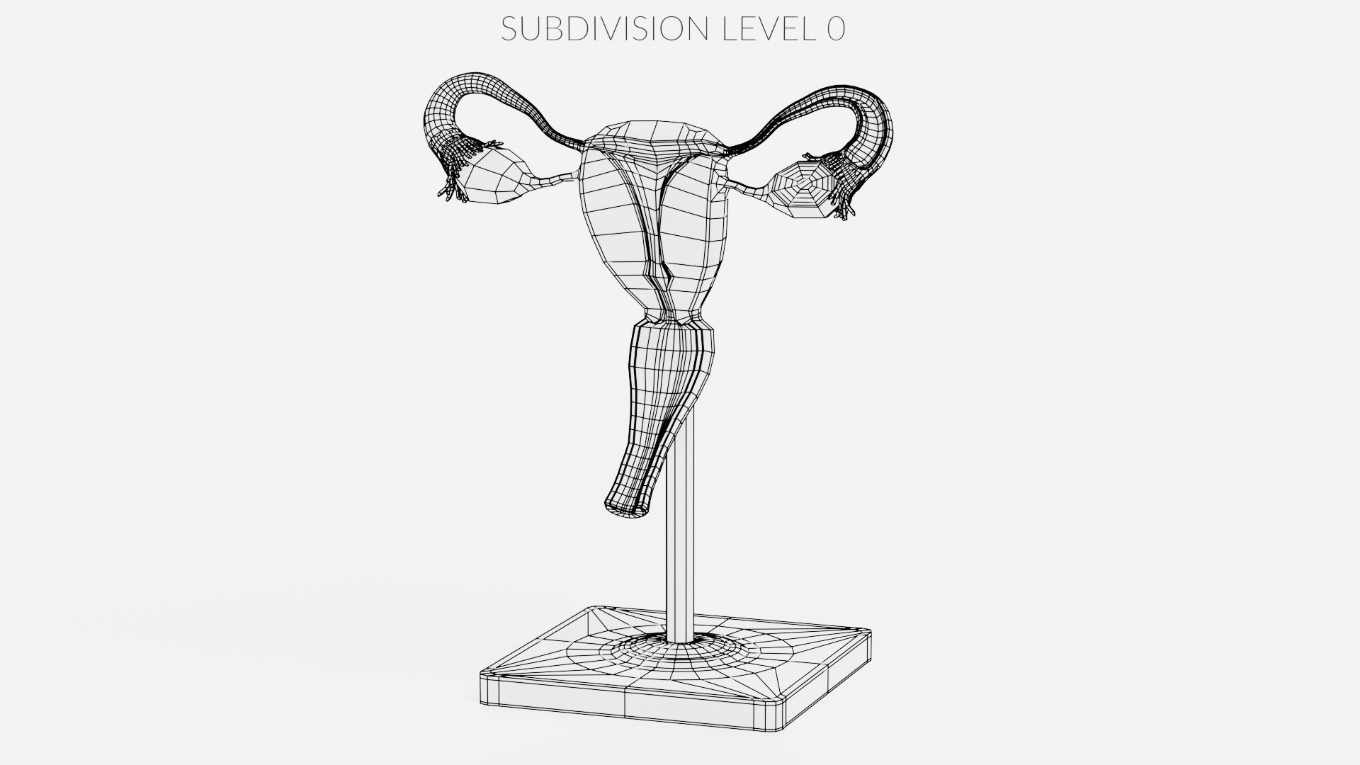 3D Uterus Model Model - TurboSquid 2026882