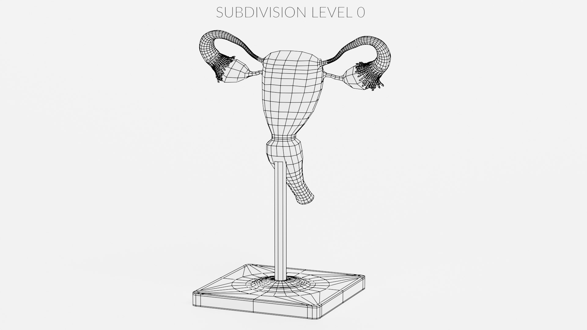 3D Uterus Model Model - TurboSquid 2026882
