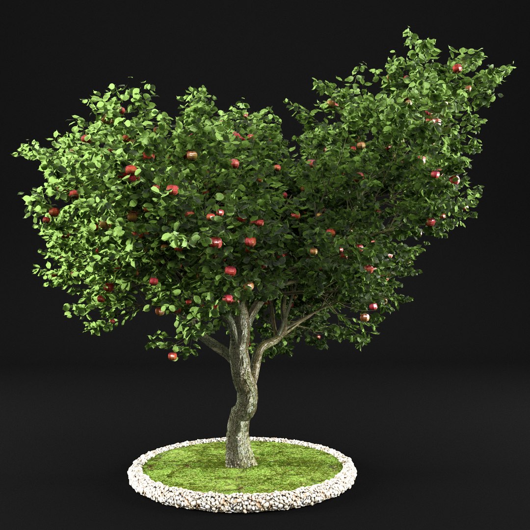 3D apple tree - TurboSquid 1159261